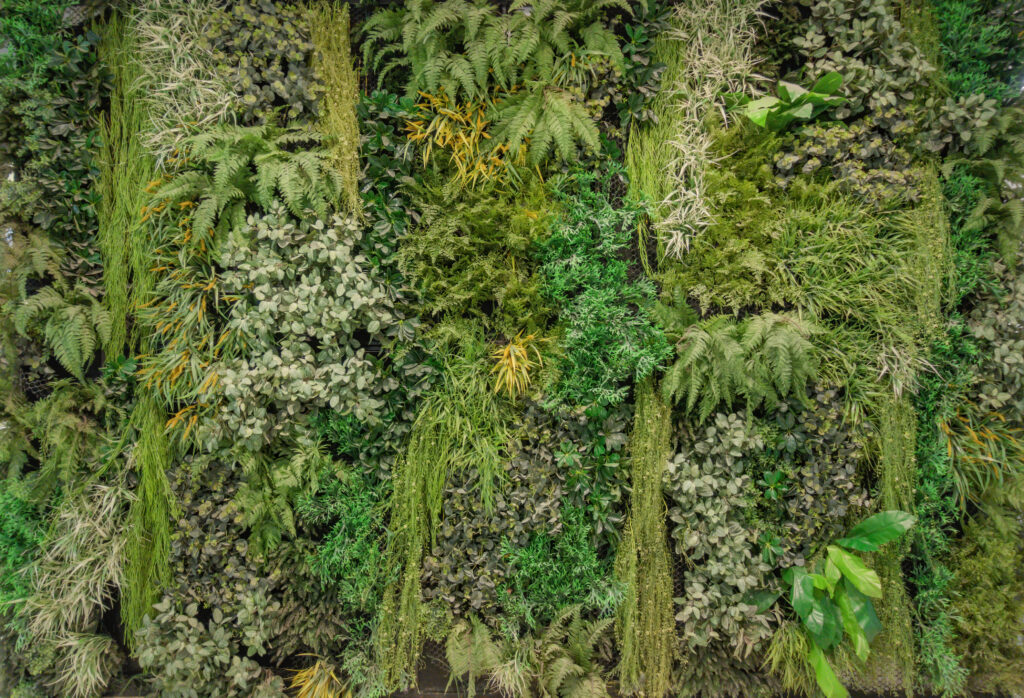 Reaching New Heights: The art & science behind verticle gardening ...